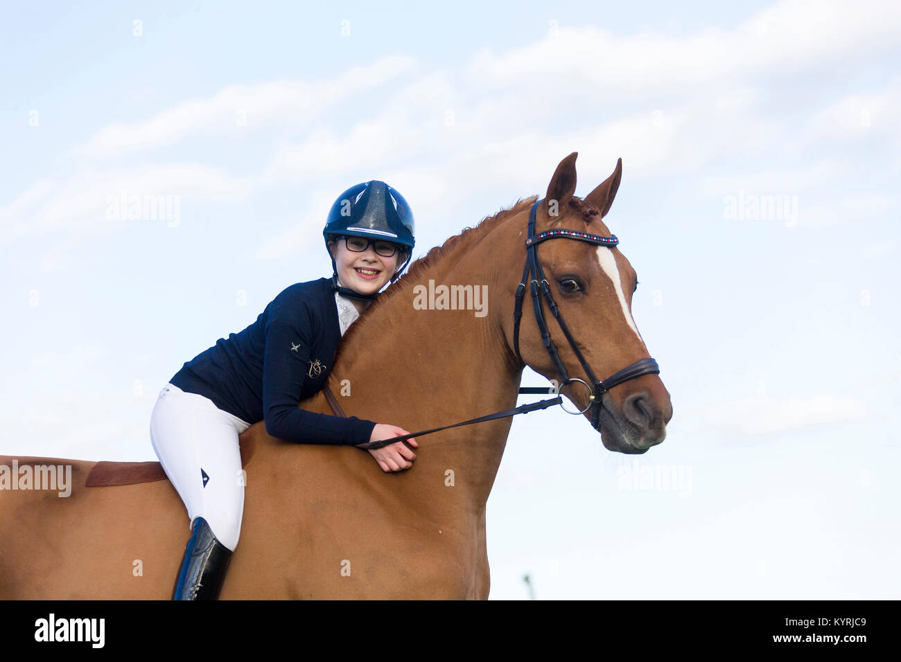 German Riding Pony. Young rider on chestnut gelding without saddle ...