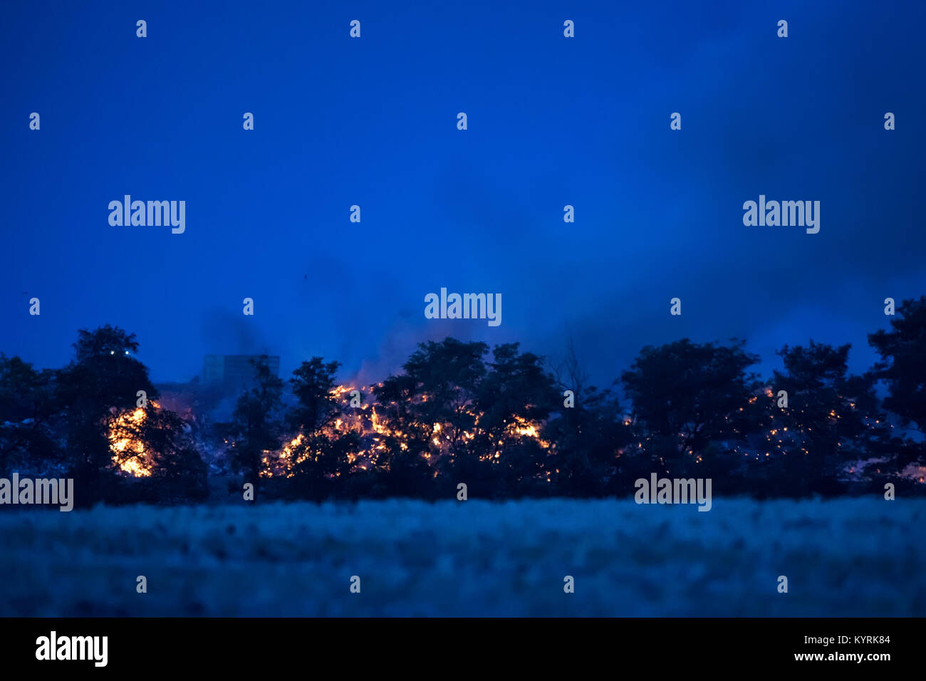 Forest fire at night Stock Photo - Alamy