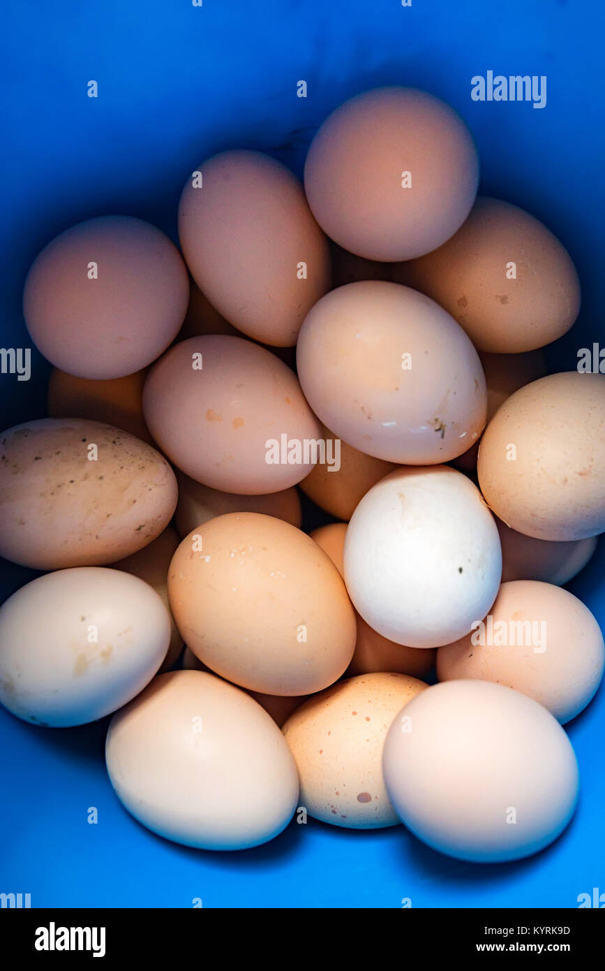 Hard boiled egg yolk grey hi-res stock photography and images - Alamy