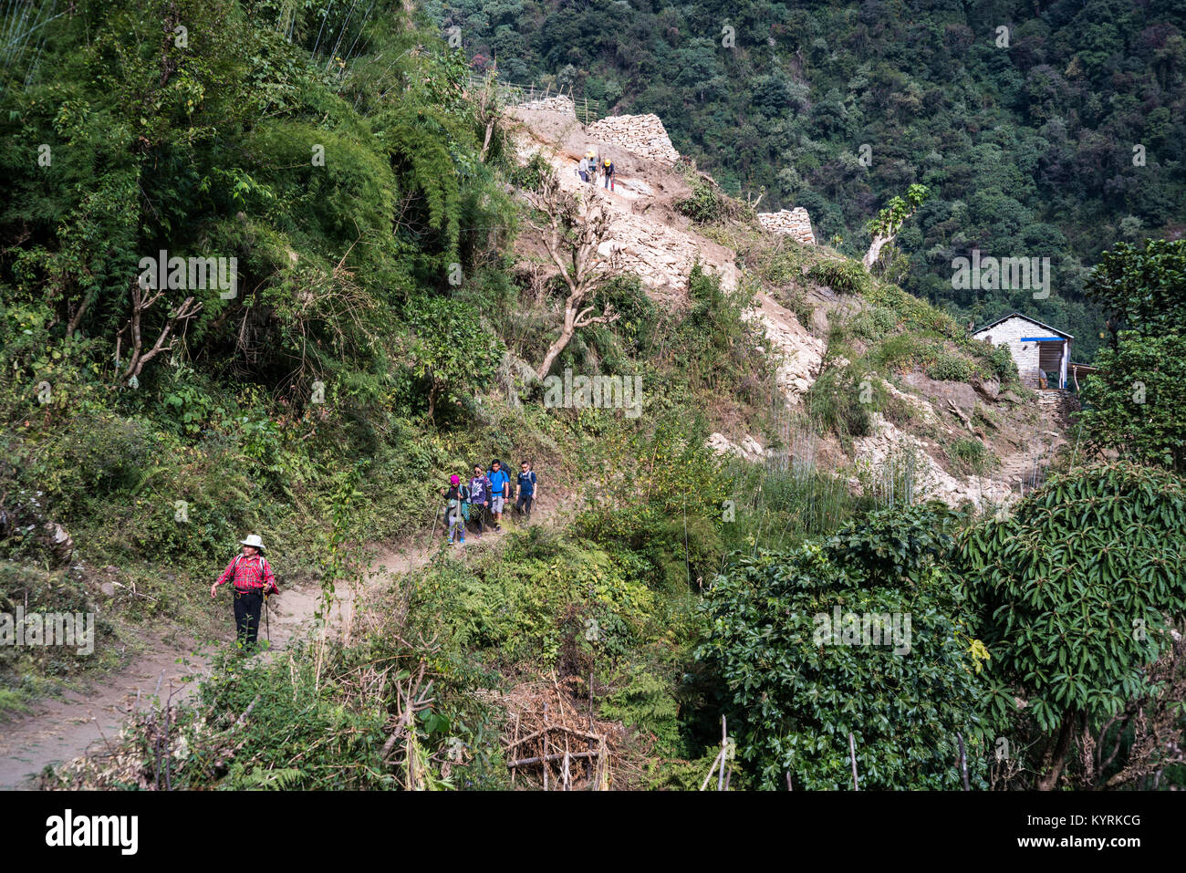 tourists on the ABC trek, Annapurna Base Camp in Nepal, Asia Stock ...