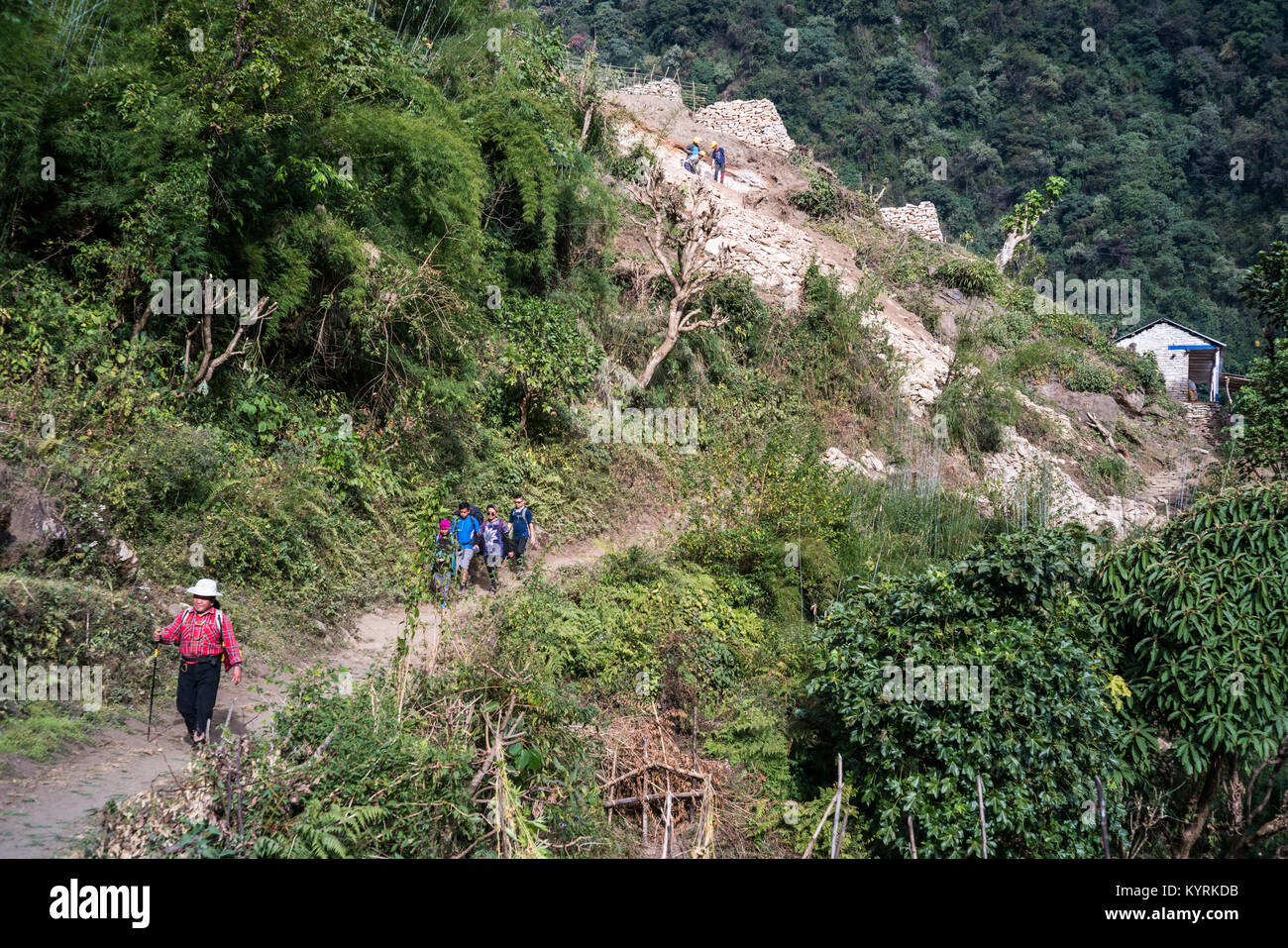 tourists on the ABC trek, Annapurna Base Camp in Nepal, Asia Stock ...