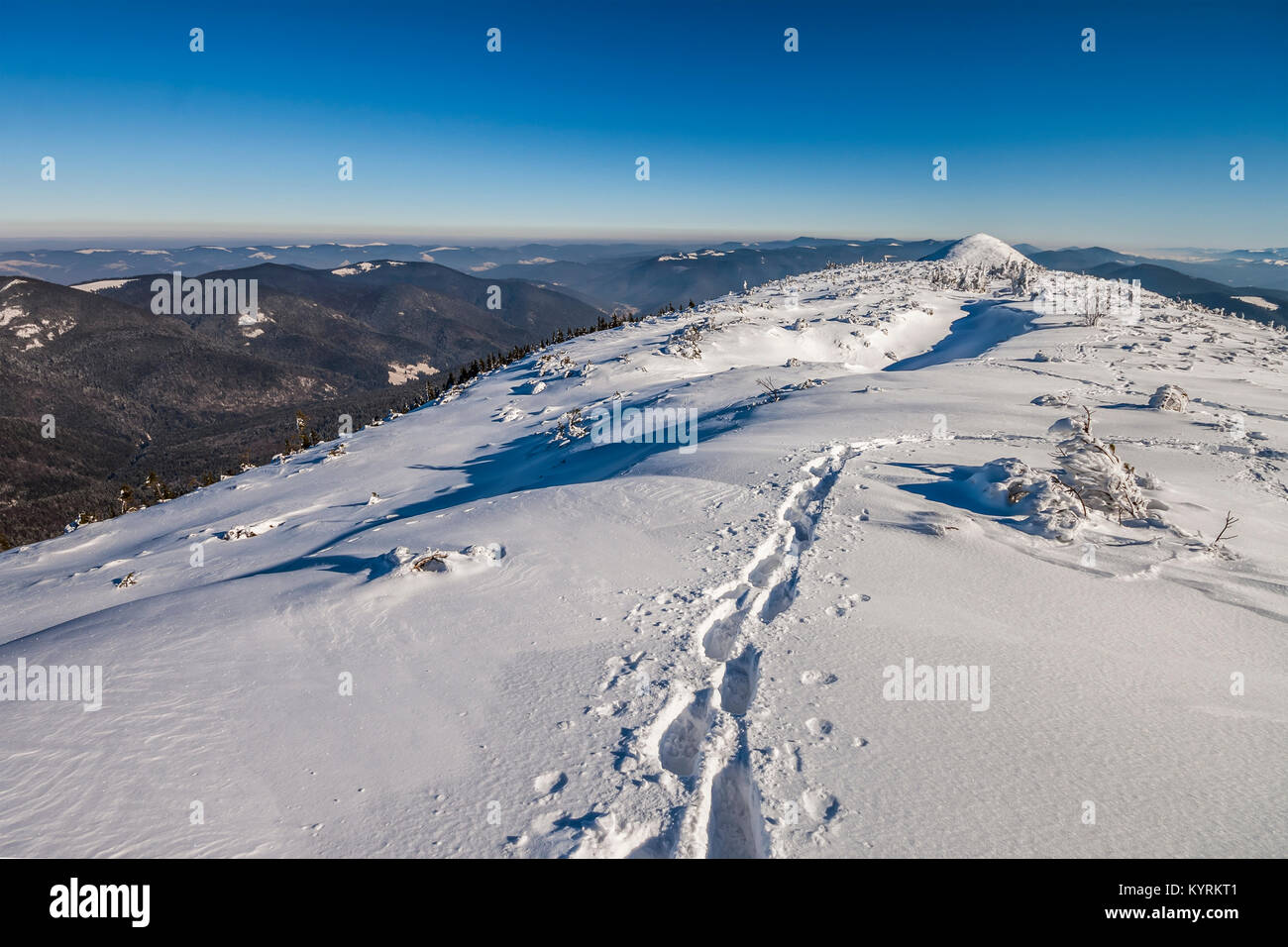 Path with footprints in snow in winter mountains Stock Photo - Alamy