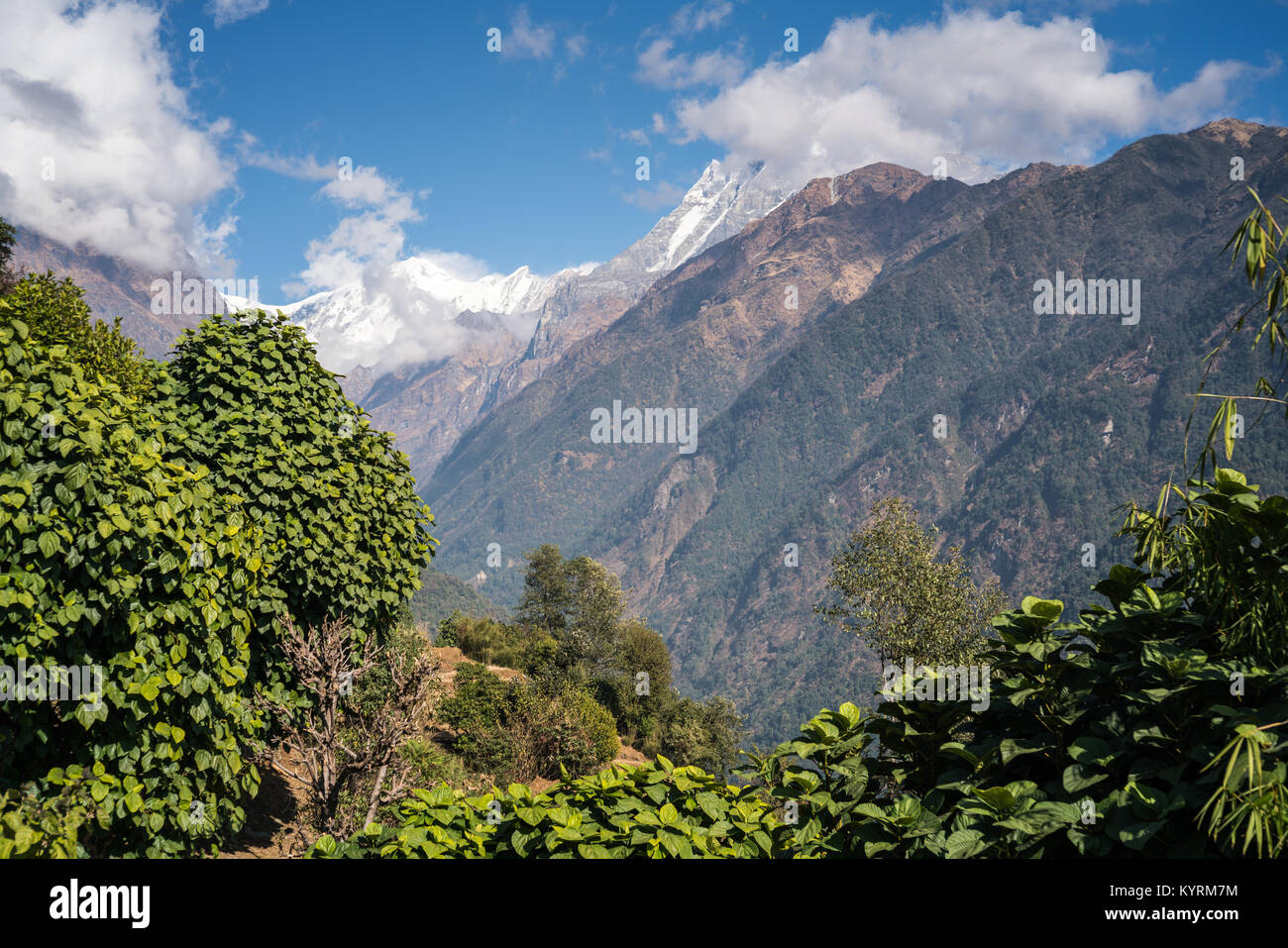 Machhapuchchhre hi-res stock photography and images - Alamy