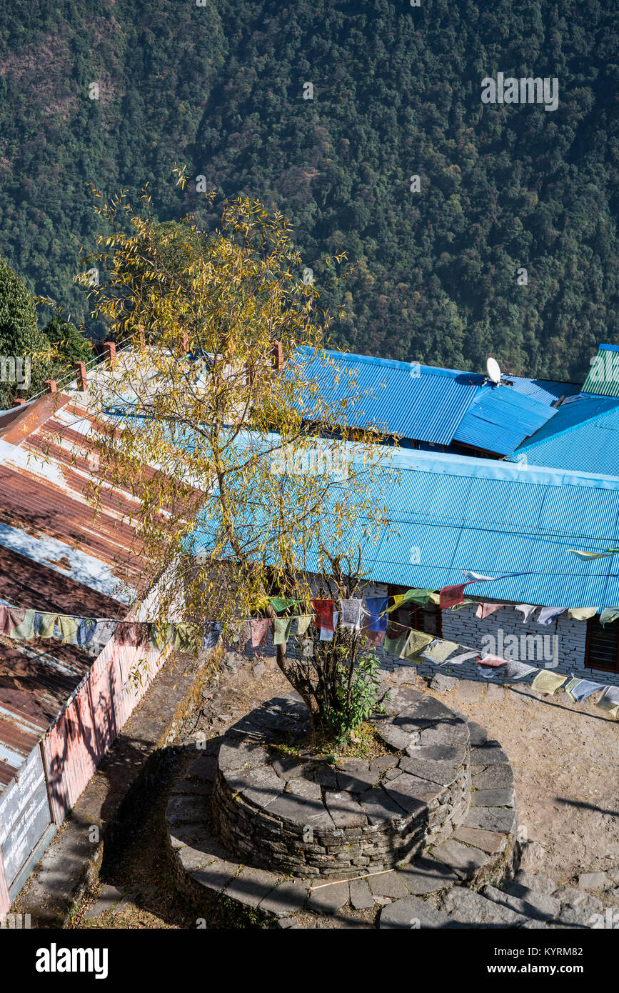Exterior of the rural hostel houses in the village Chomrong, Nepal ...