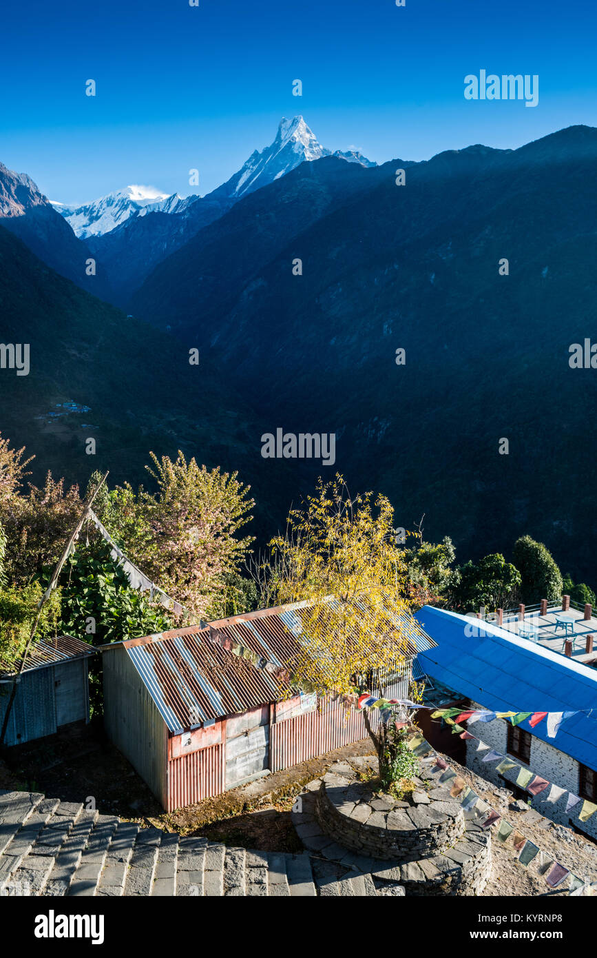 Exterior of the rural hostel houses in the village Chomrong, Nepal ...