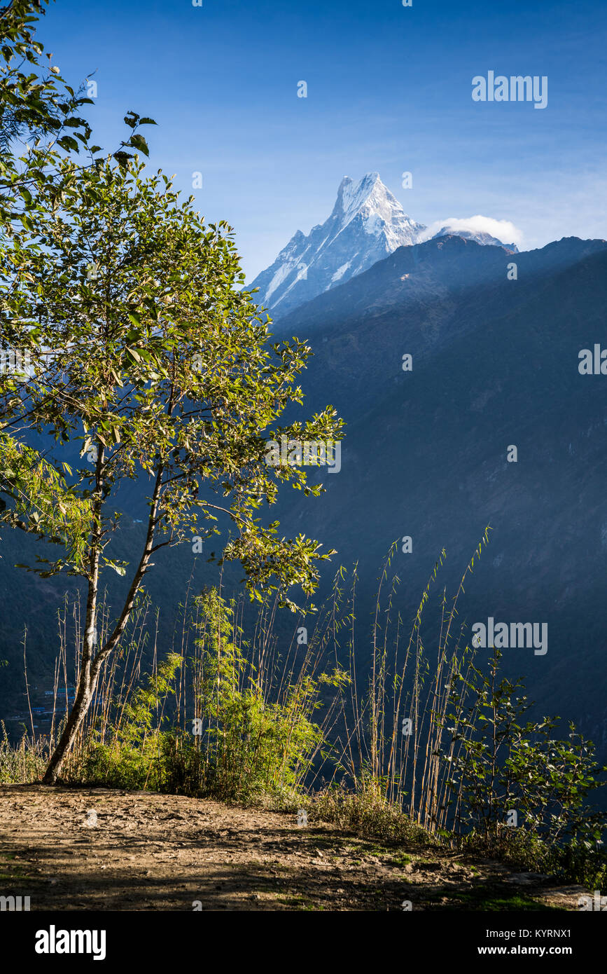 Mount machhapuchchhre fish tail hi-res stock photography and images - Alamy
