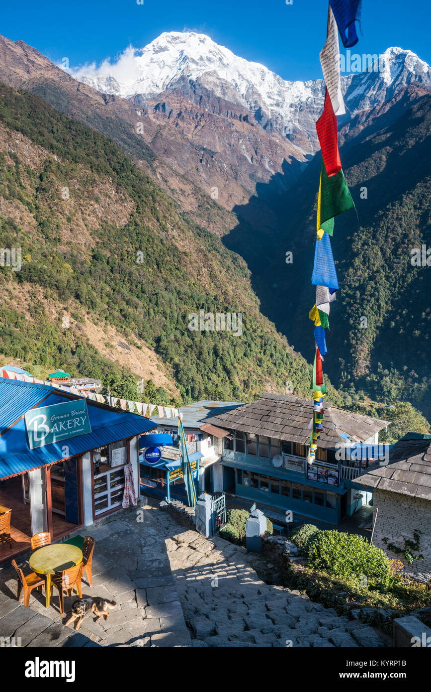Exterior of the rural hostel houses in the village Chomrong, Nepal ...