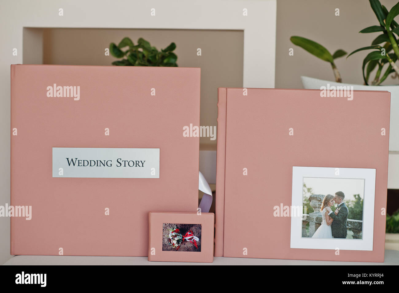 Gentle pink wedding photobook or photo album, box, and cd case Stock ...