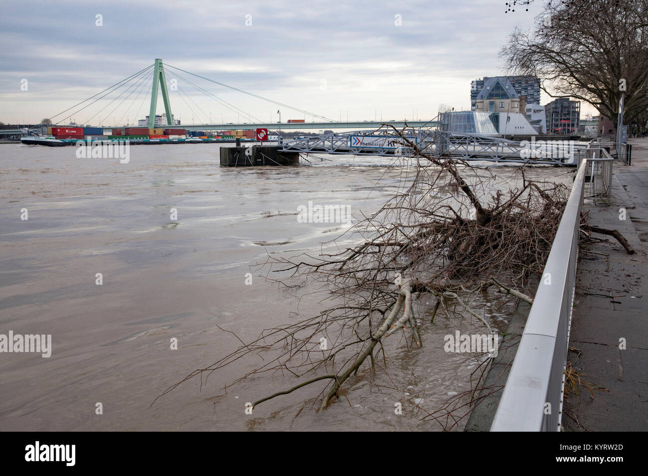 Hochwasser köln hi-res stock photography and images - Alamy