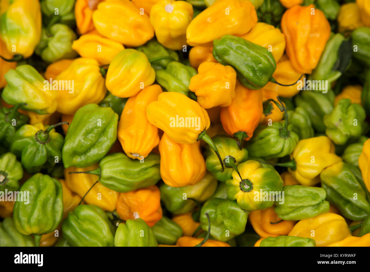 Yellow peppers on sale at the market in Leeuwarden, the Netherlands ...