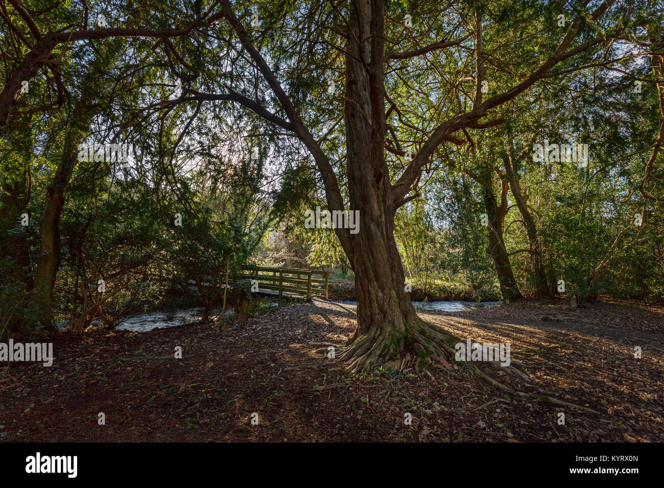 Natural resources wales hi-res stock photography and images - Alamy