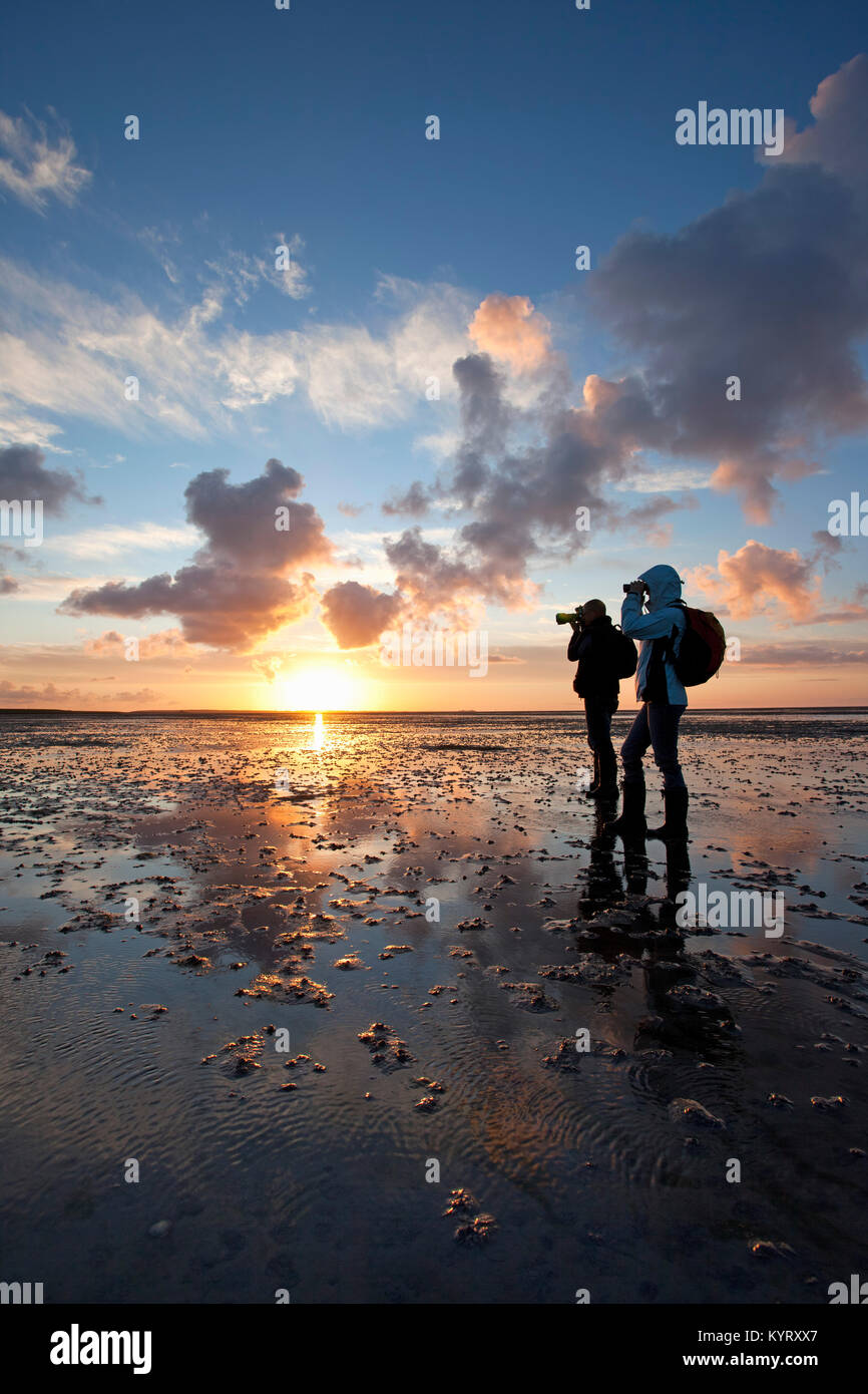 The Netherlands, Ballum, Ameland Island, belonging to Wadden Sea ...