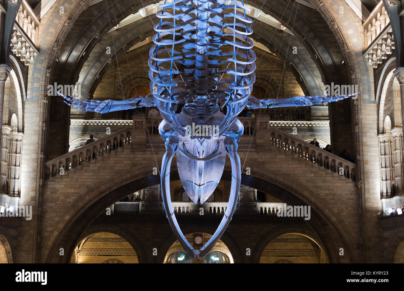 Evolution of gothic architecture hi-res stock photography and images ...