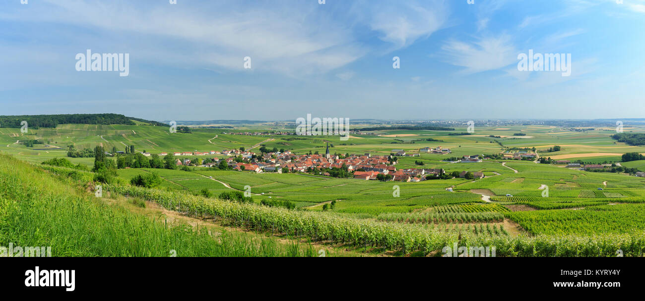 Parc naturel regional de la montagne de reims hi-res stock photography ...