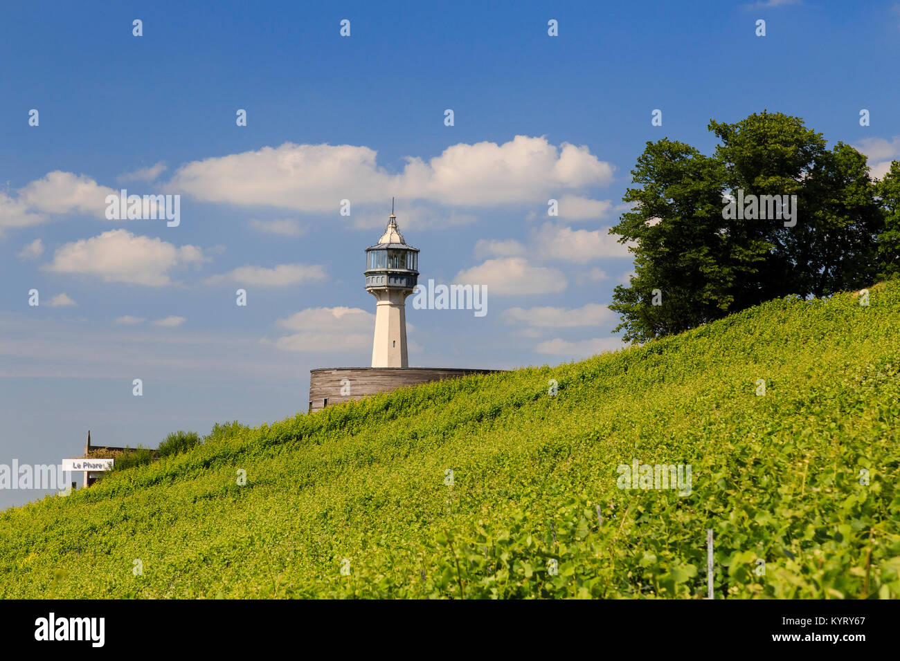 Parc naturel regional de la montagne de reims hi-res stock photography ...
