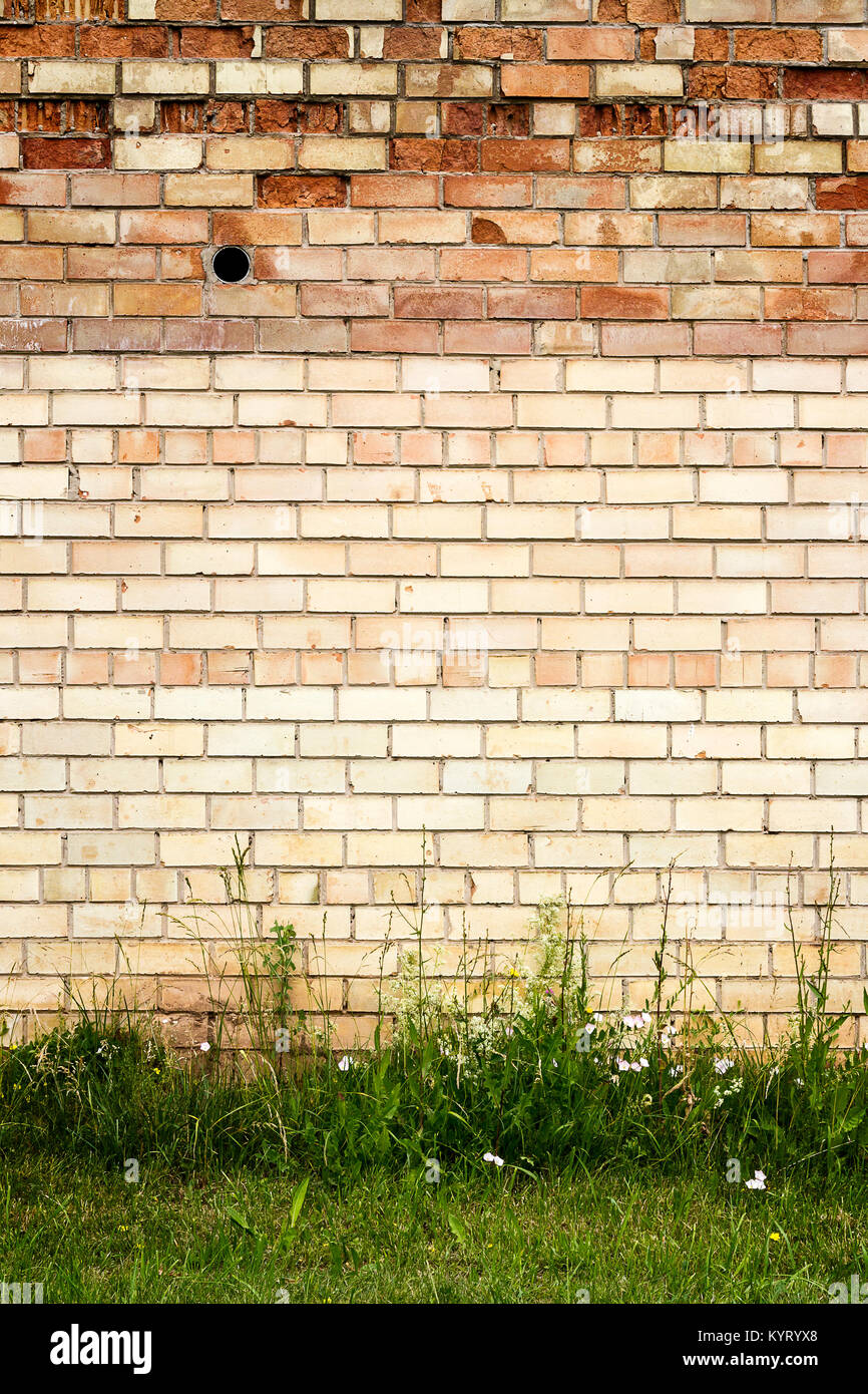 Red and yellow brick wall background with green grass Stock Photo - Alamy