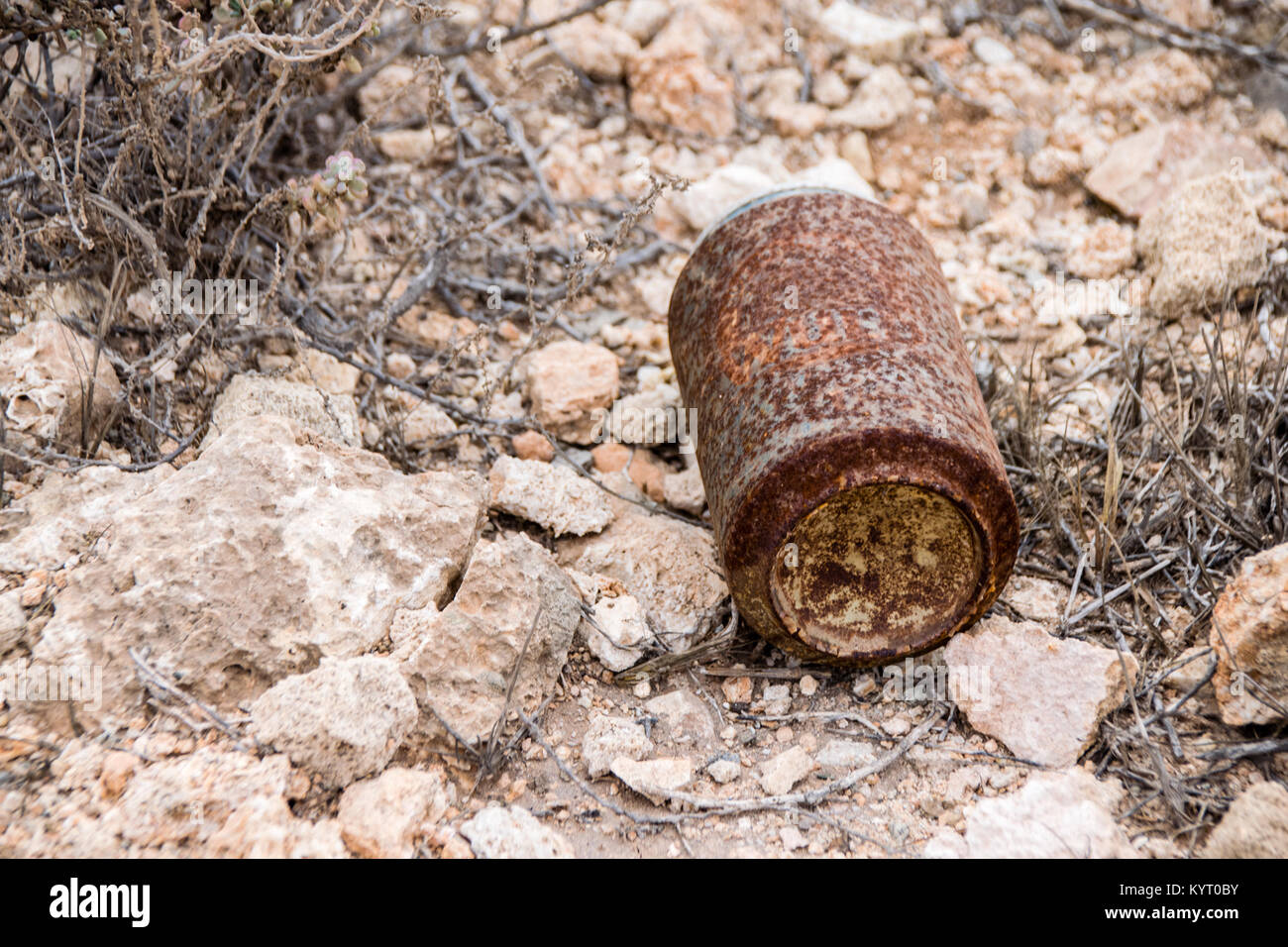 Discarded metal drinks can rusting in the environment Stock Photo - Alamy