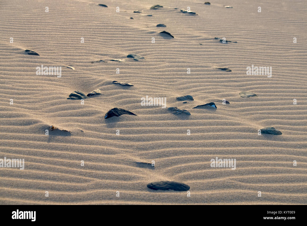 Wind ripples in the sand Stock Photo - Alamy