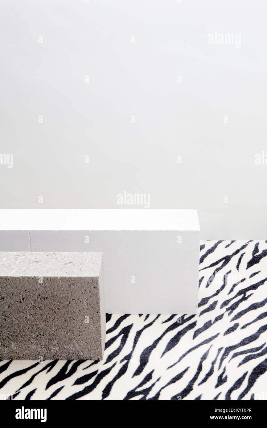 2 concrete blocks on a zebra patterned carpet. Minimal color still life ...