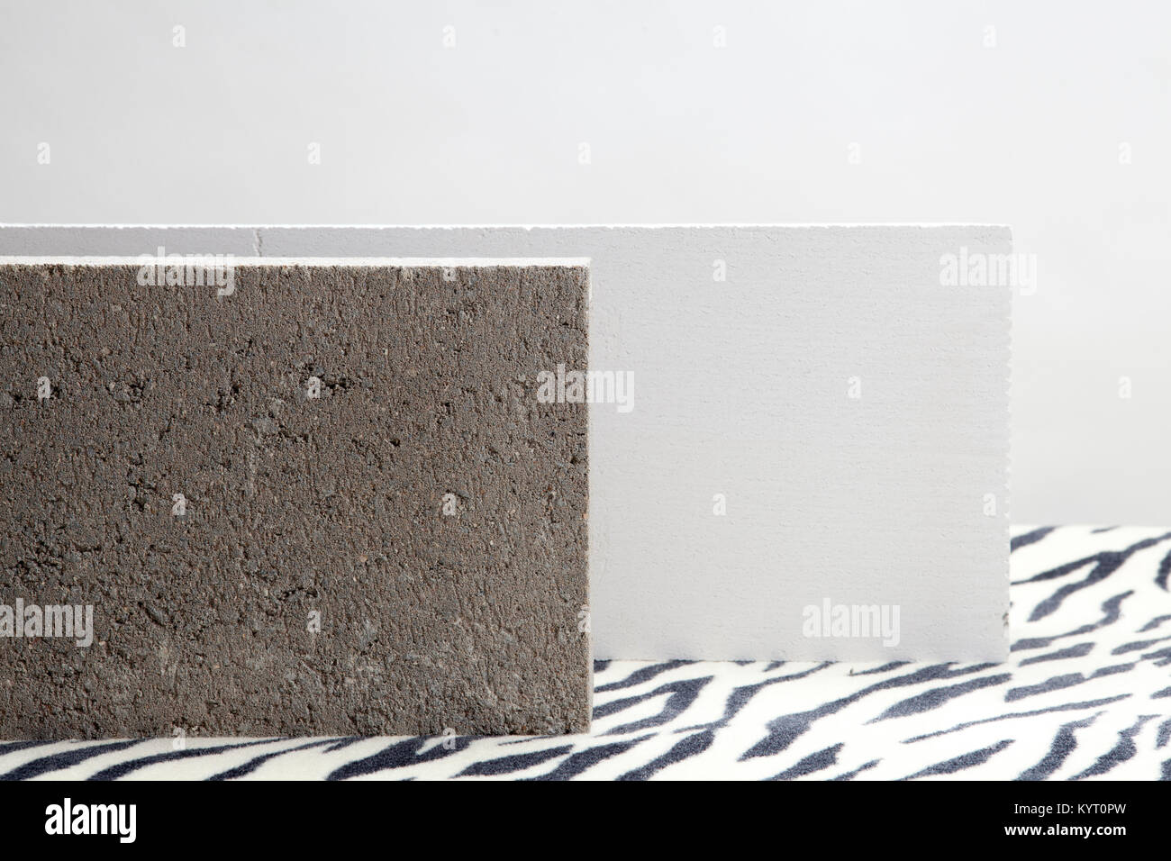 Zebra minimalist hi-res stock photography and images - Alamy