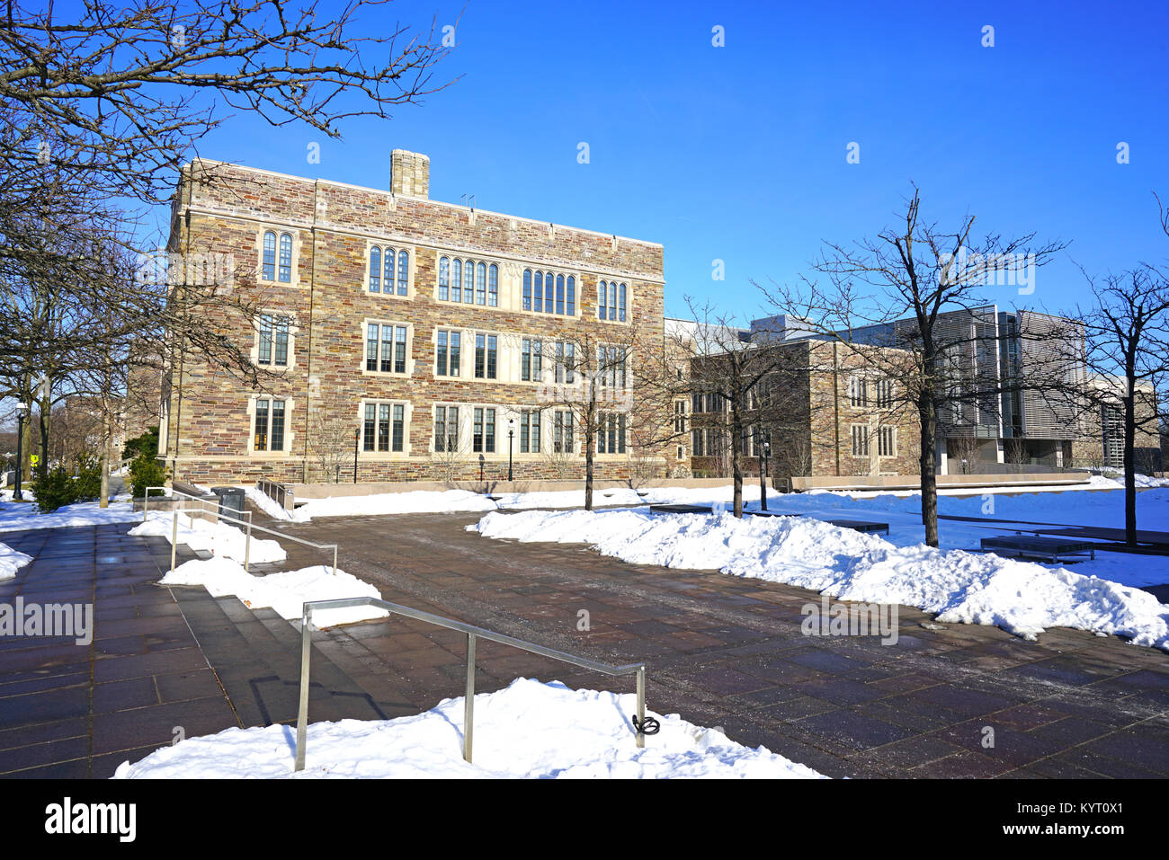 Princeton University Campus Snow