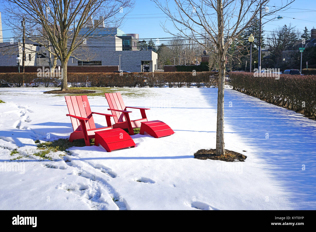 Princeton University Campus Snow