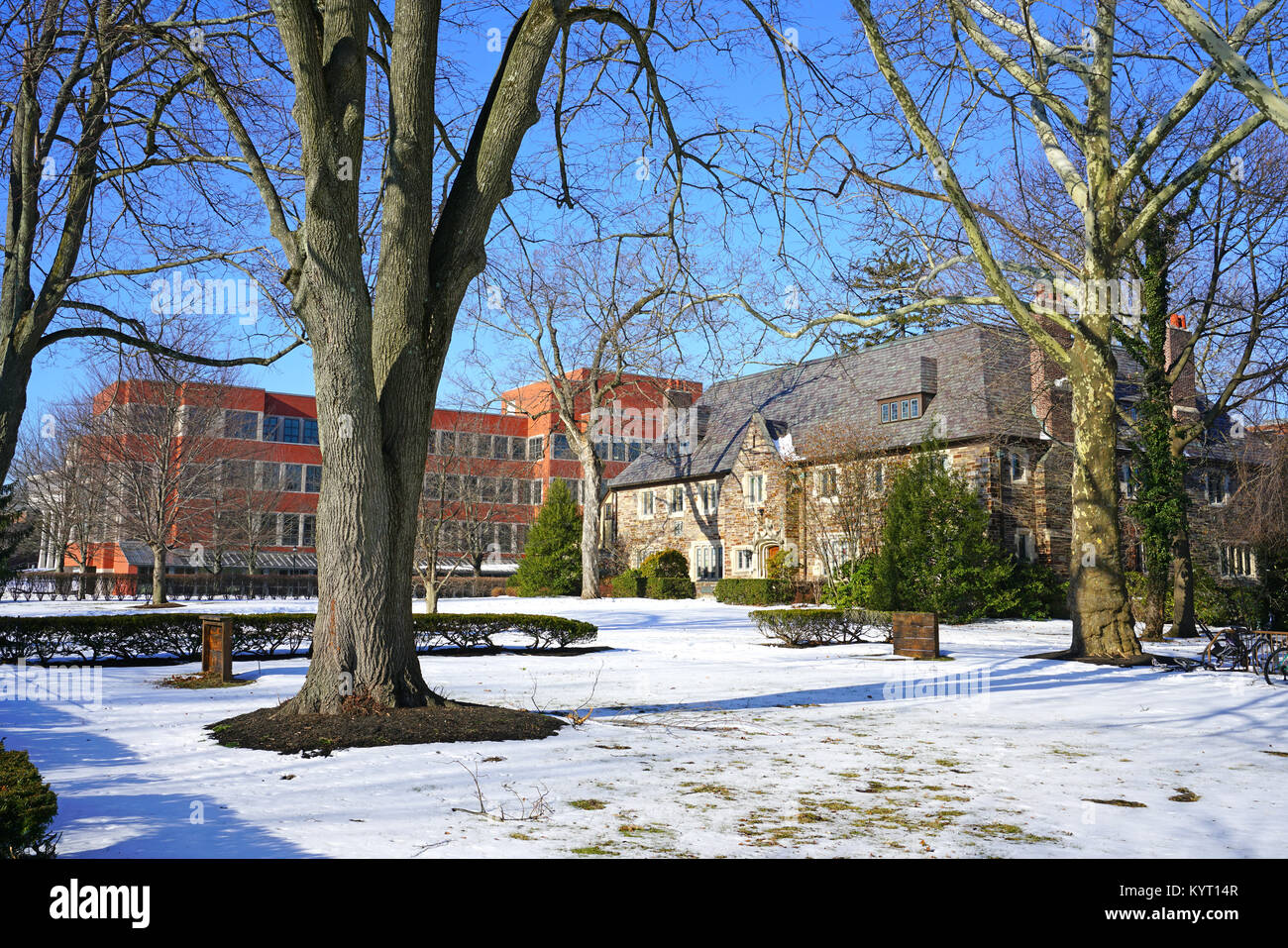 Princeton University Campus Snow