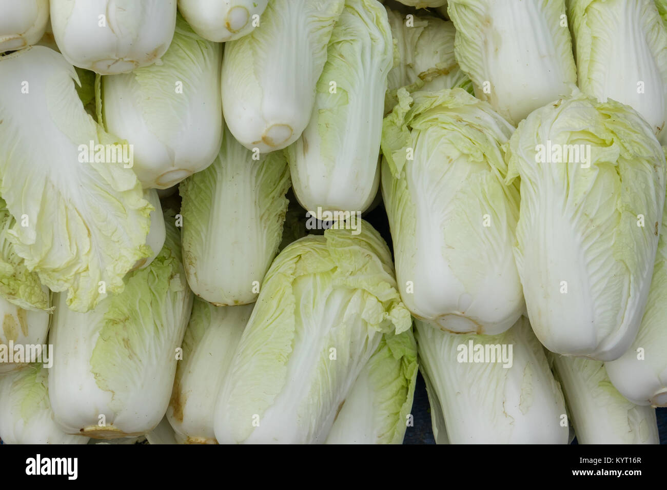 A pile of Chinese Cabbage, ready for sell in supermarket Stock Photo ...