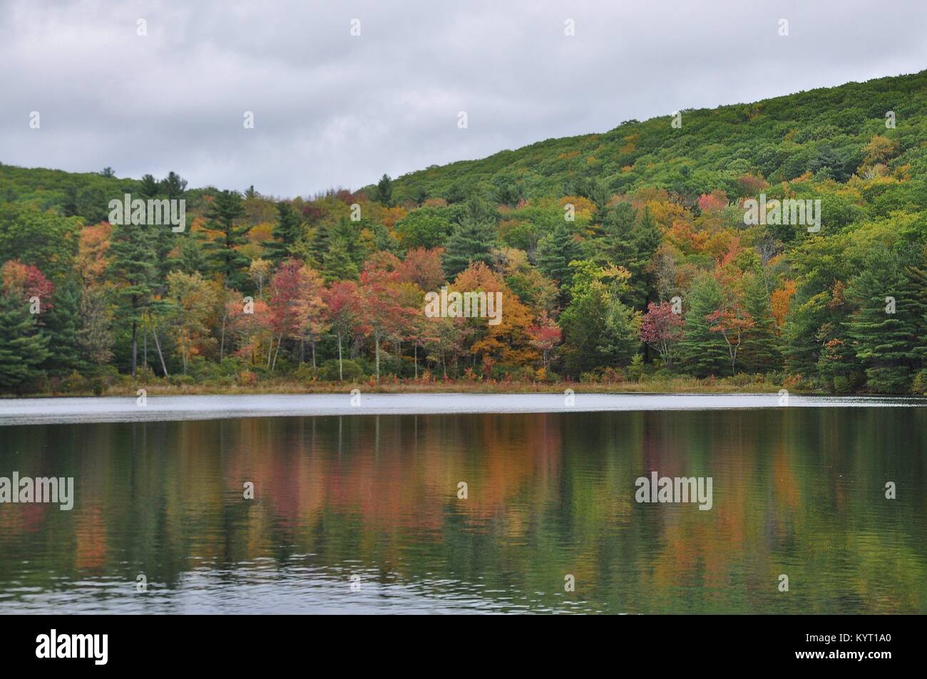 Monterey, MA. Beautiful fall colors along the pond in Beartown State ...