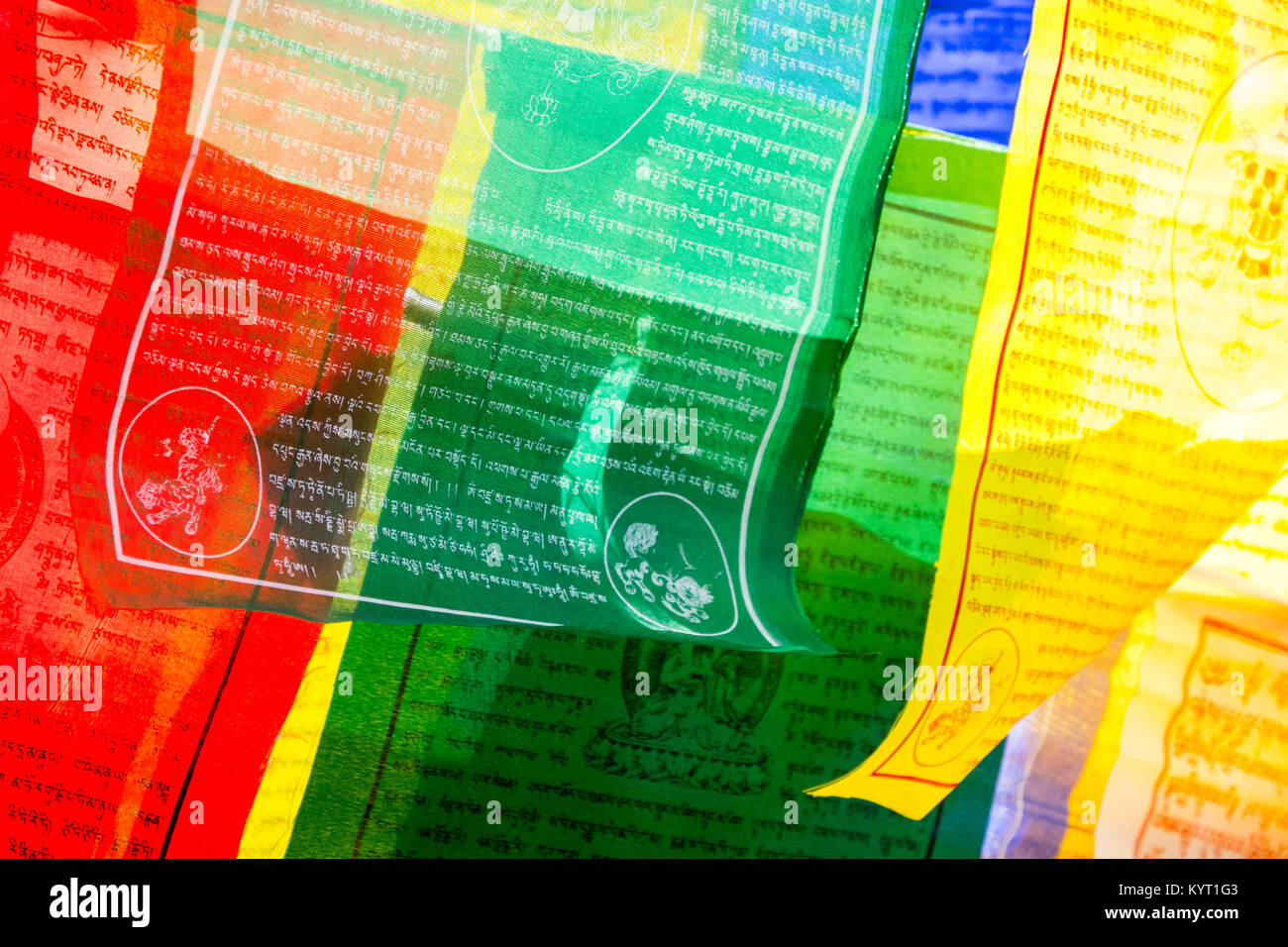 Buddhist prayer flags in Dharamshala, India, home of the Tibetan ...