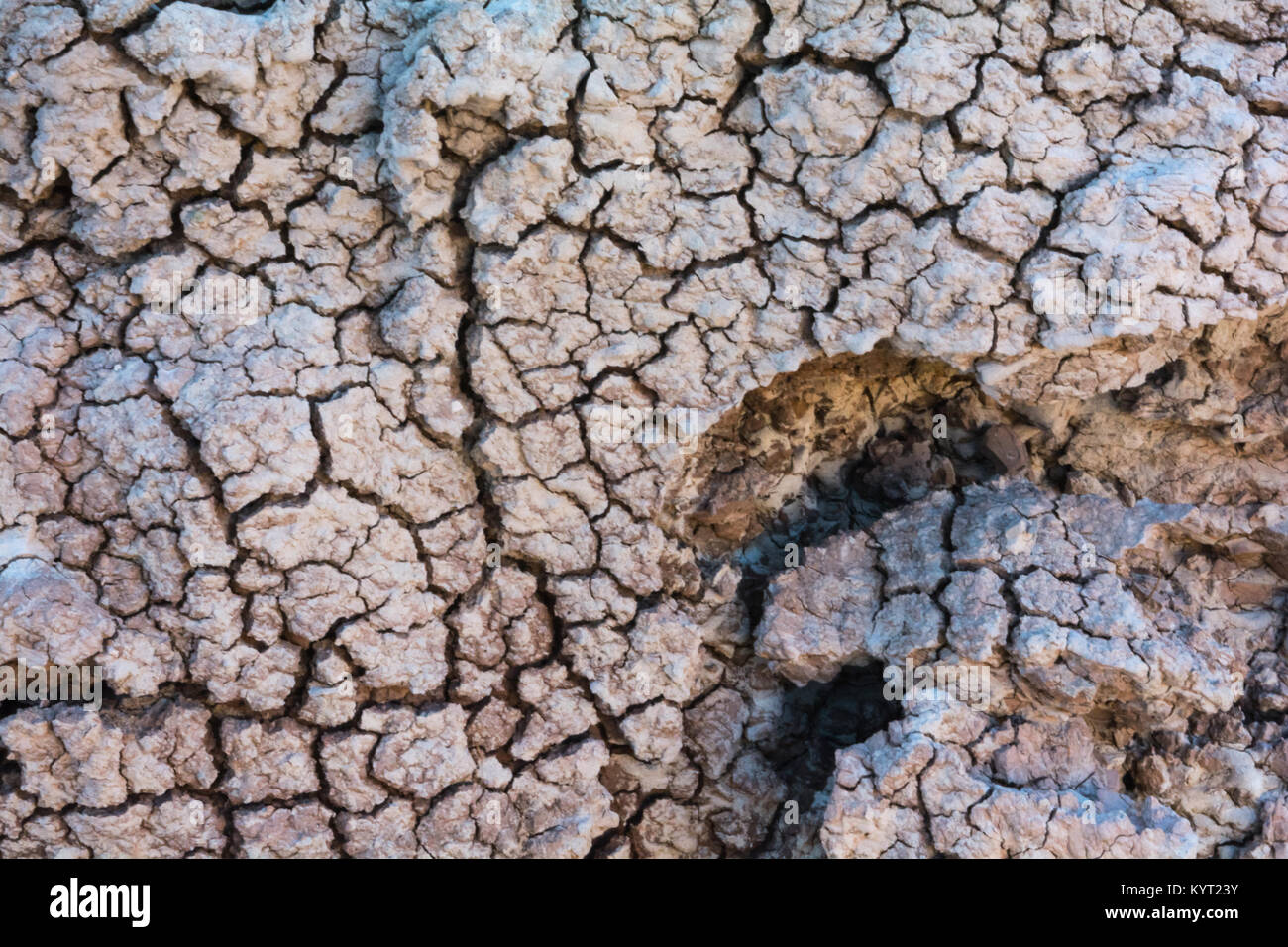Dried up mud hi-res stock photography and images - Alamy