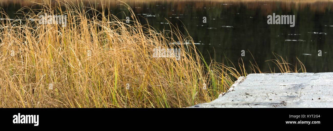 Waving grasses hi-res stock photography and images - Alamy