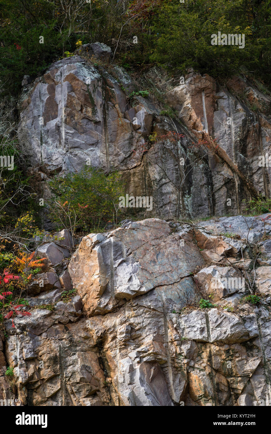 A beautiful autumn day at Abelman's Gorge State Natural Area, on ...