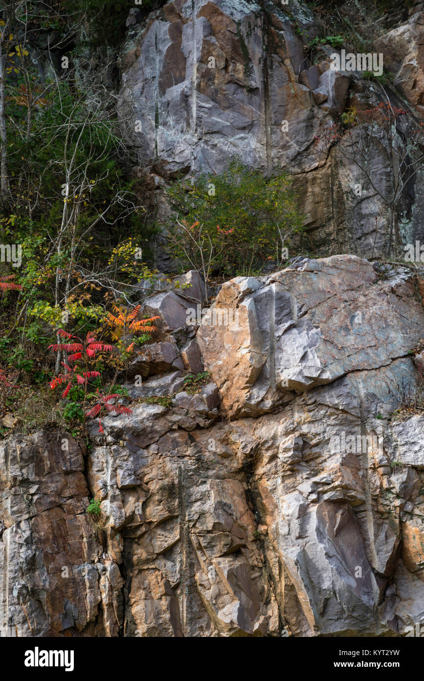 A beautiful autumn day at Abelman's Gorge State Natural Area, on ...