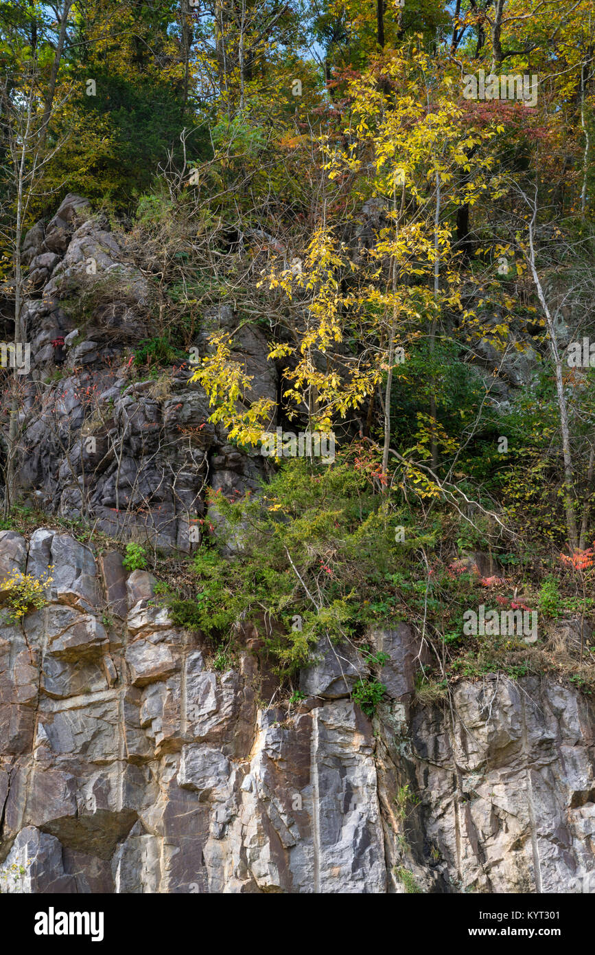 A beautiful autumn day at Abelman's Gorge State Natural Area, on ...
