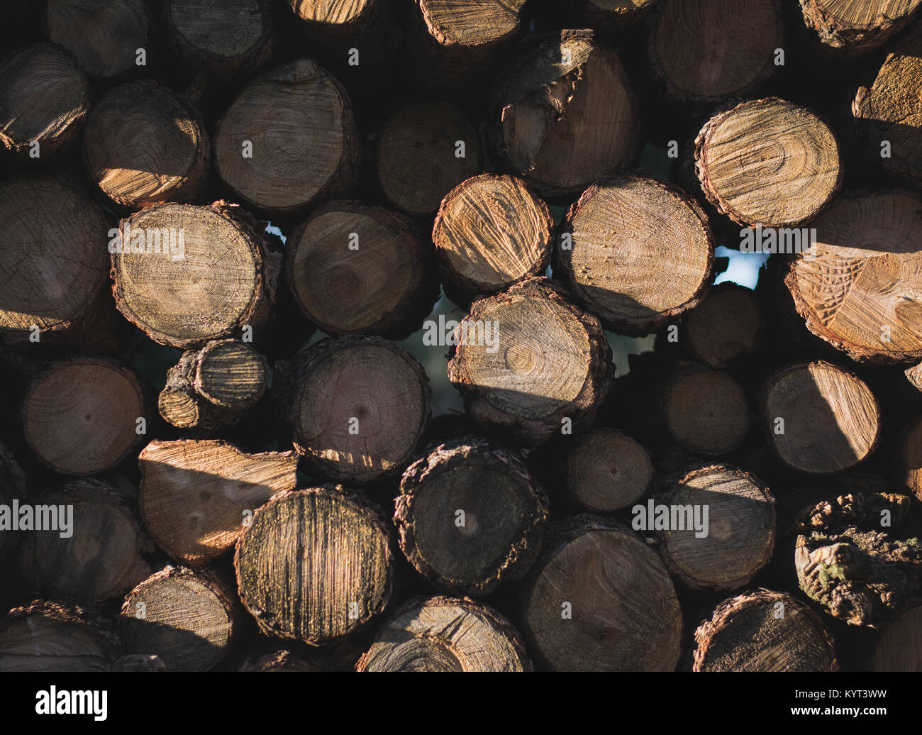 Stack of chopped wood in Boulder, CO Stock Photo - Alamy