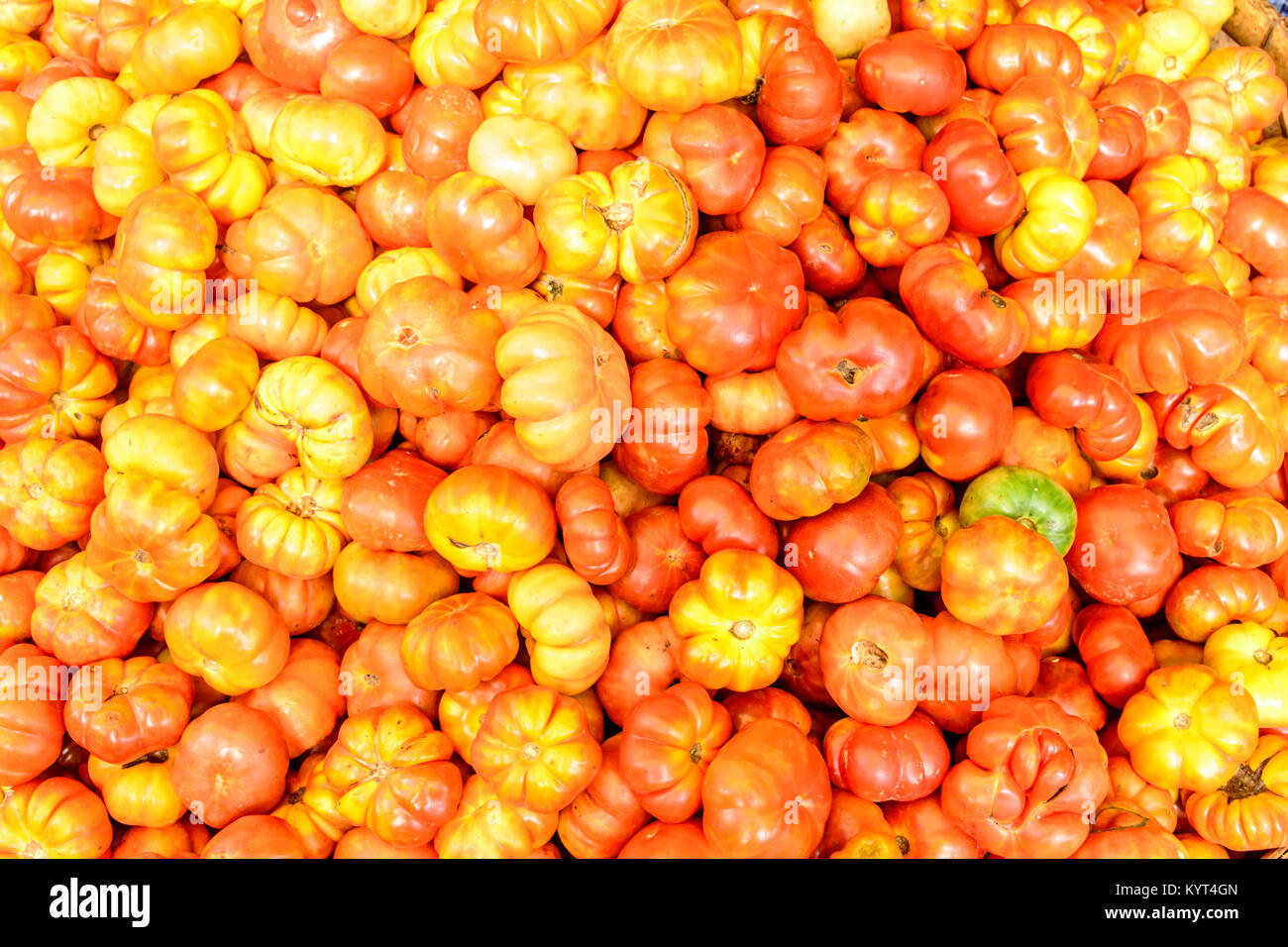 photo of raw material of tomato Stock Photo - Alamy