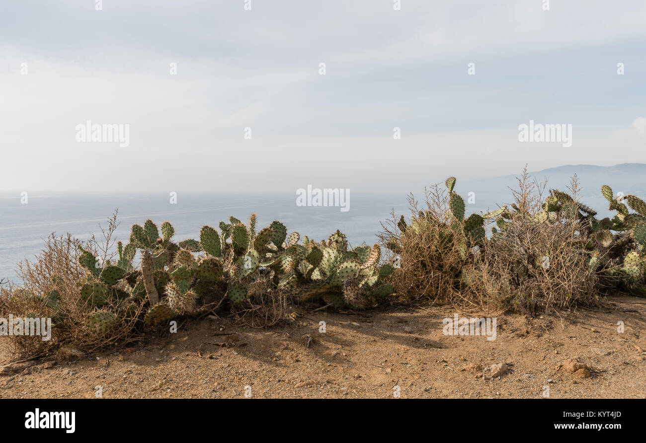 Point dume aerial hi-res stock photography and images - Alamy