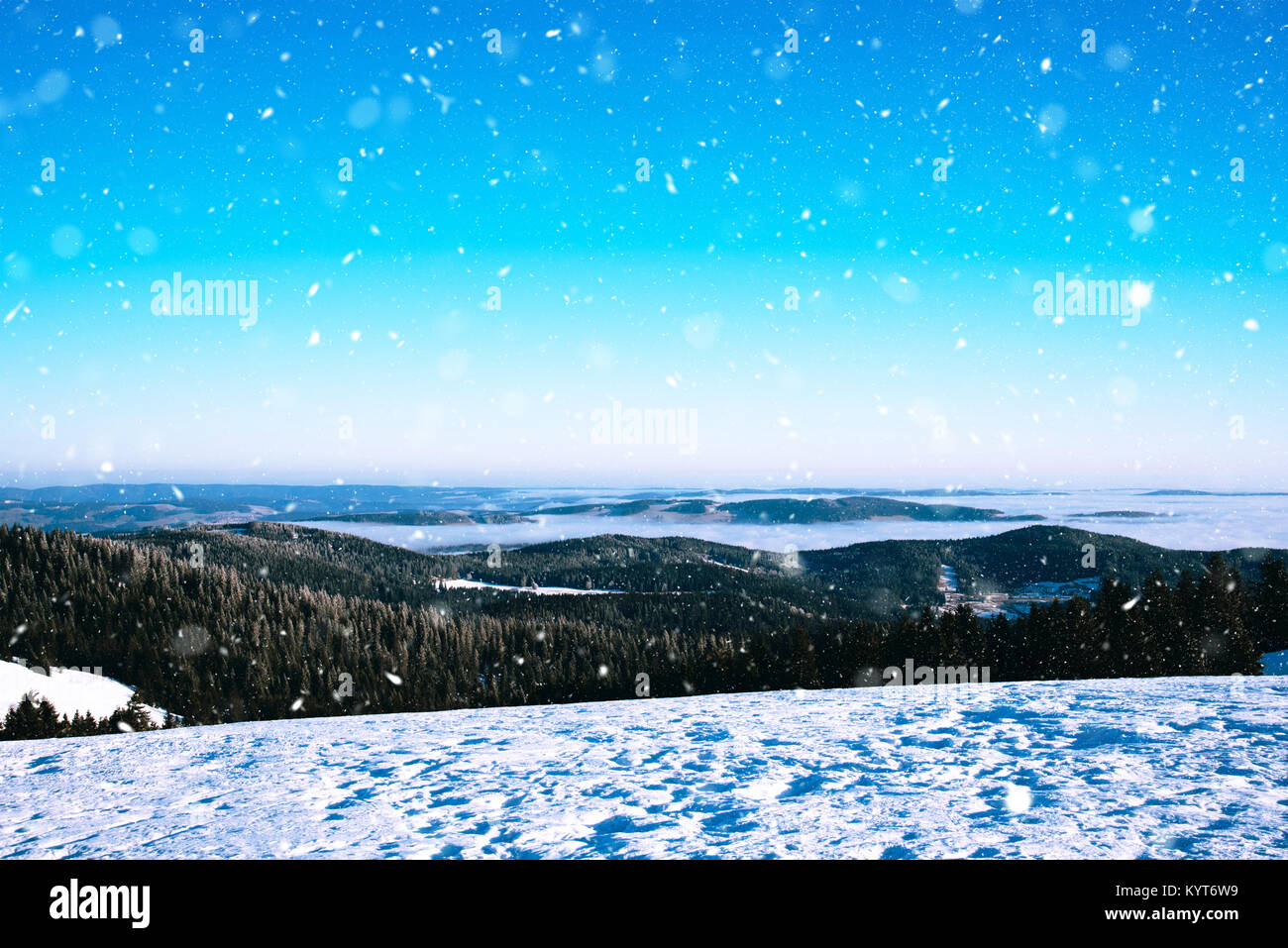 Beautiful winter landscape in the mountains. Cold weather, snow on ...