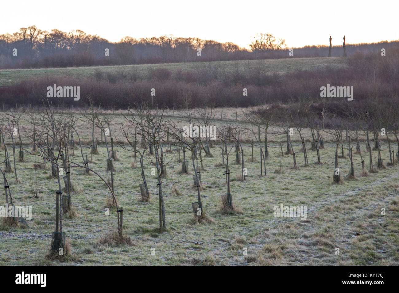 Meopham hi-res stock photography and images - Alamy