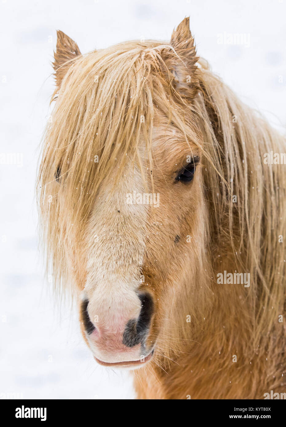 Longdon beck hi-res stock photography and images - Alamy
