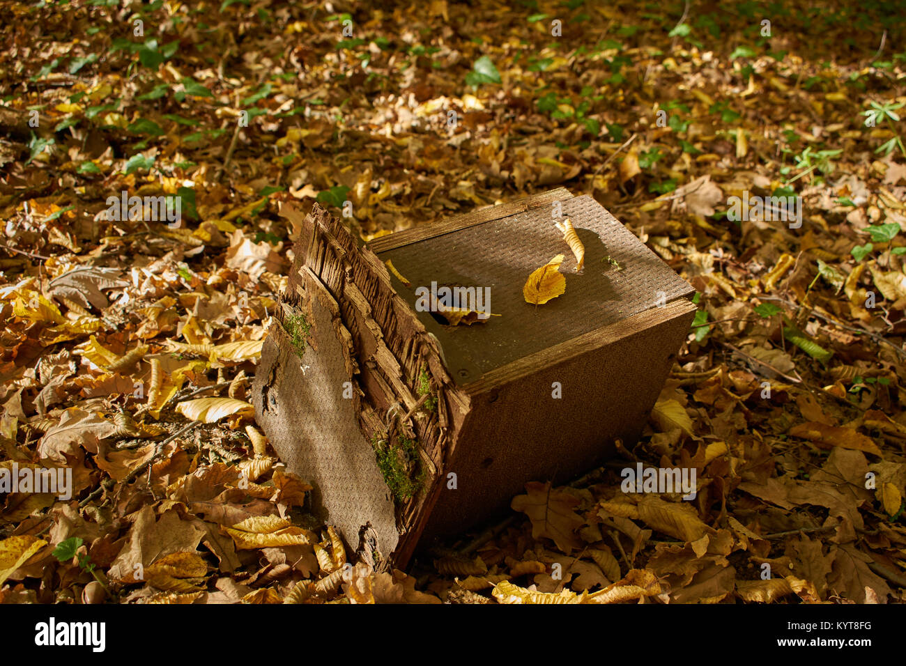 bird house on the ground (decay Stock Photo - Alamy