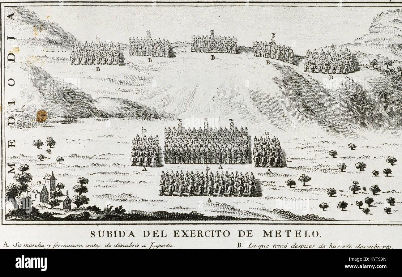 Numidicus hi-res stock photography and images - Alamy