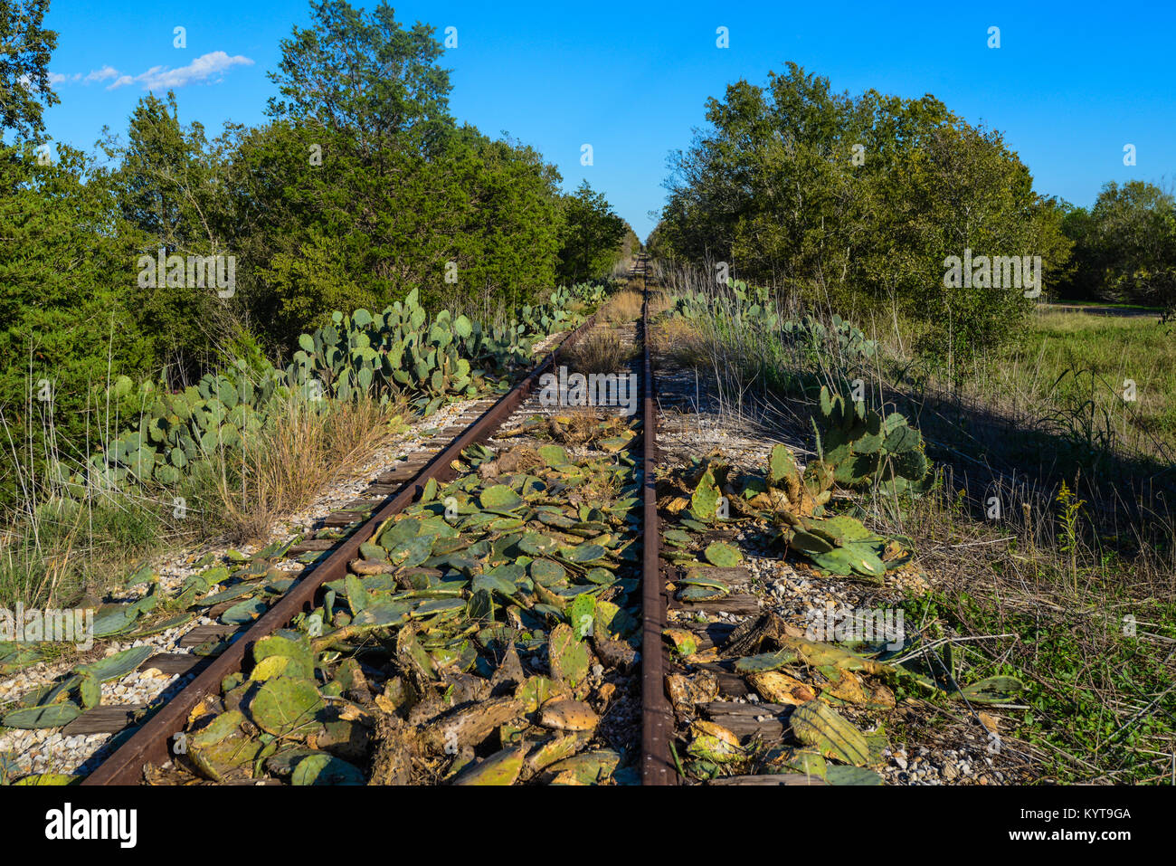 Gleis zug hi-res stock photography and images - Alamy