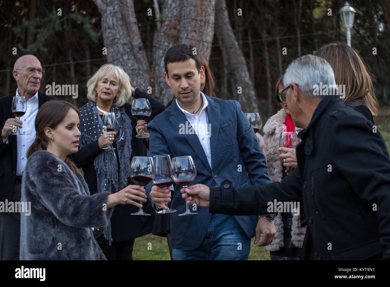 Family of many members, celebrating a party in the garden of their home ...