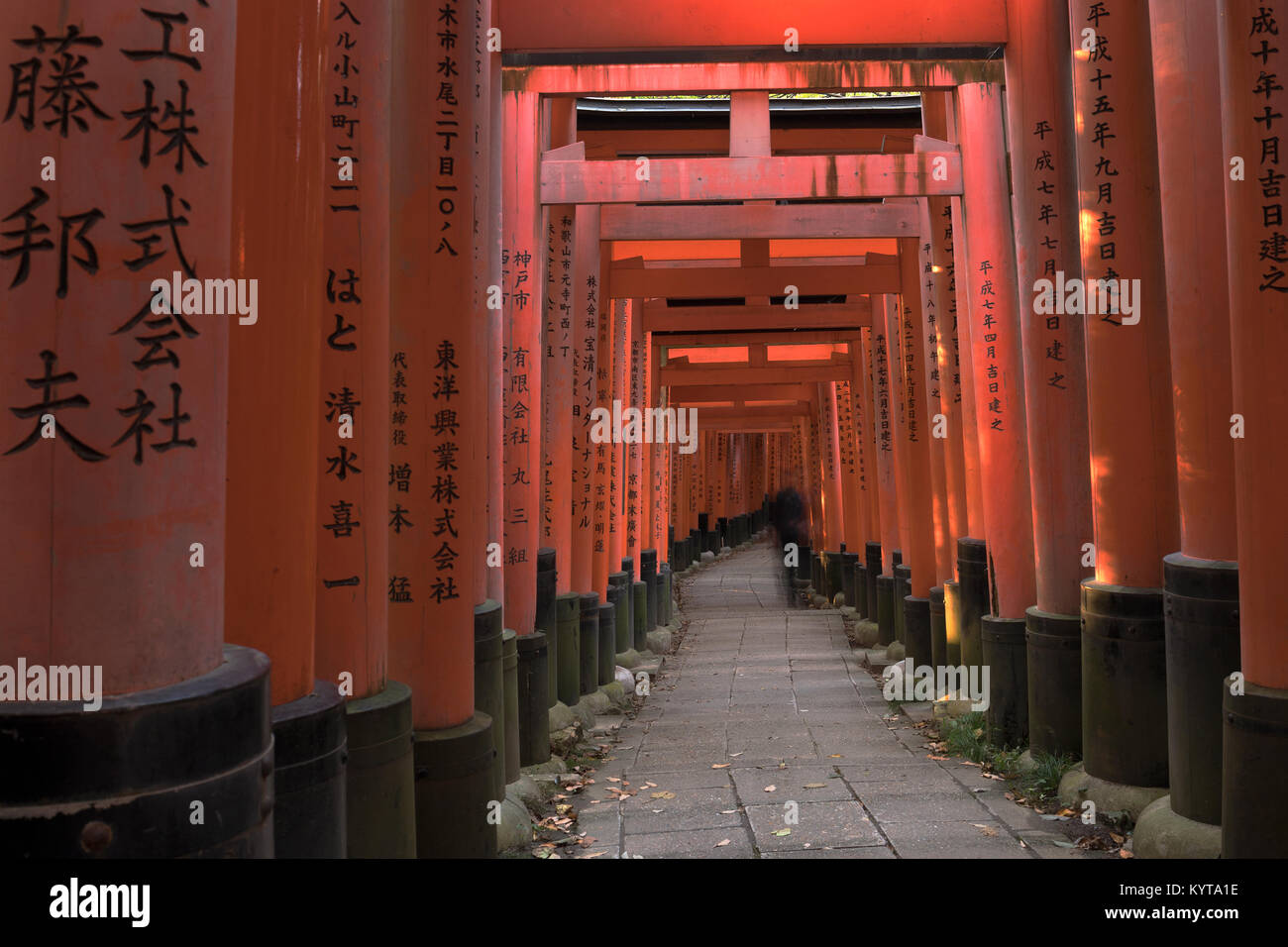 Stone Torii Gates High Resolution Stock Photography and Images - Alamy
