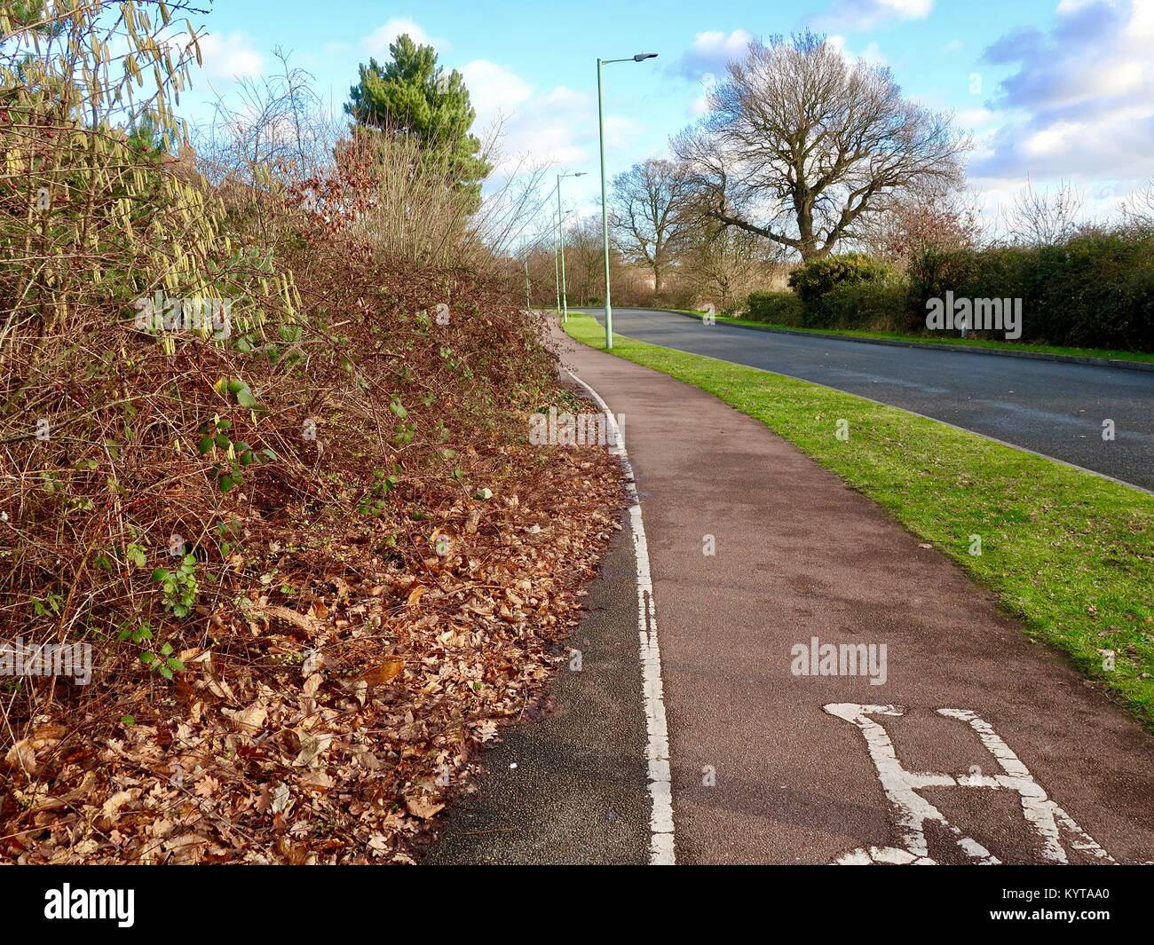 Gardens that have been allowed to get out of control now obliterating ...