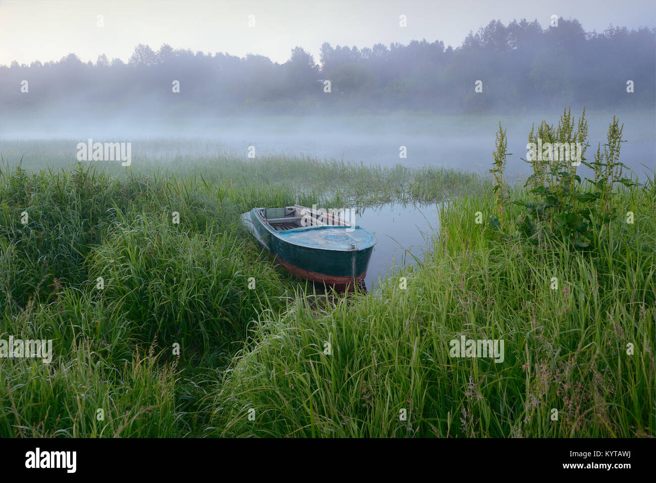 Grassy river bank hi-res stock photography and images - Alamy