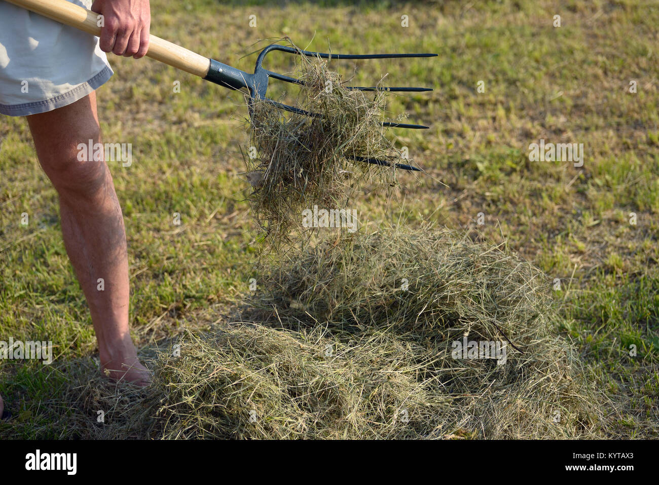 Tool farm hay pitchfork straw hi-res stock photography and images - Alamy