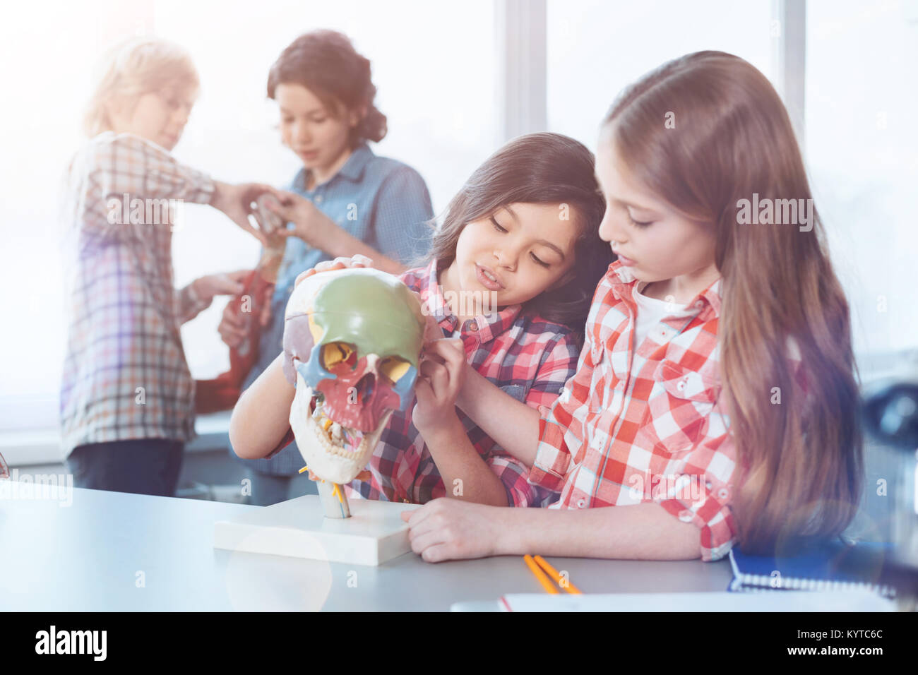 Practical learning with children hi-res stock photography and images ...